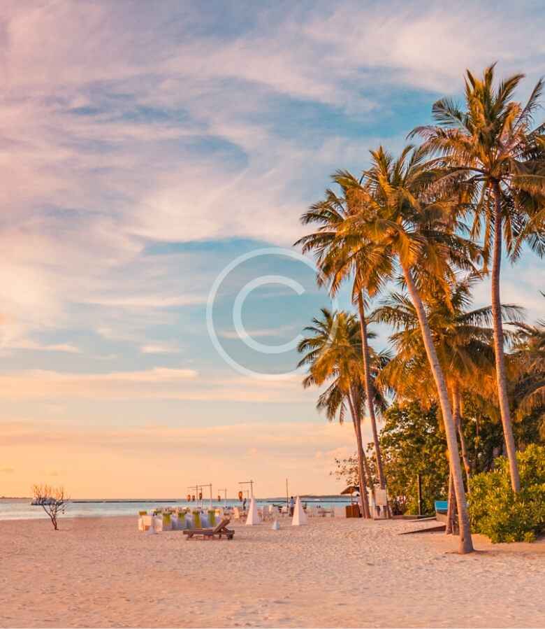 About Us – Starlight Travel Agency